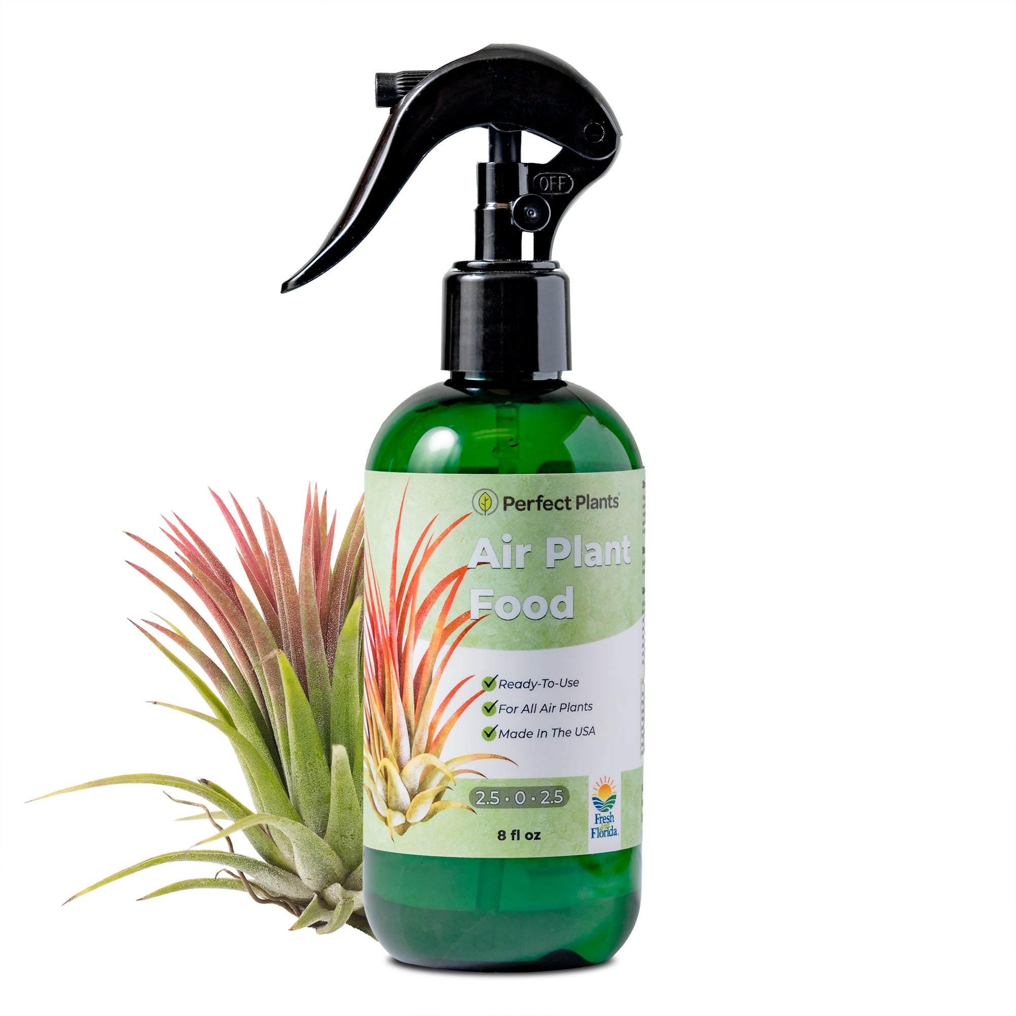 Buy Air Plant Fertilizer for Sale | Air Plant Food | Perfect Plants