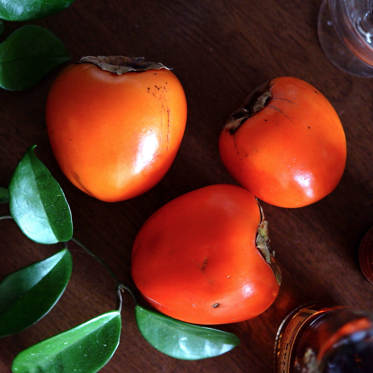 Buy Prok Persimmon Tree for Sale | Perfect Plants