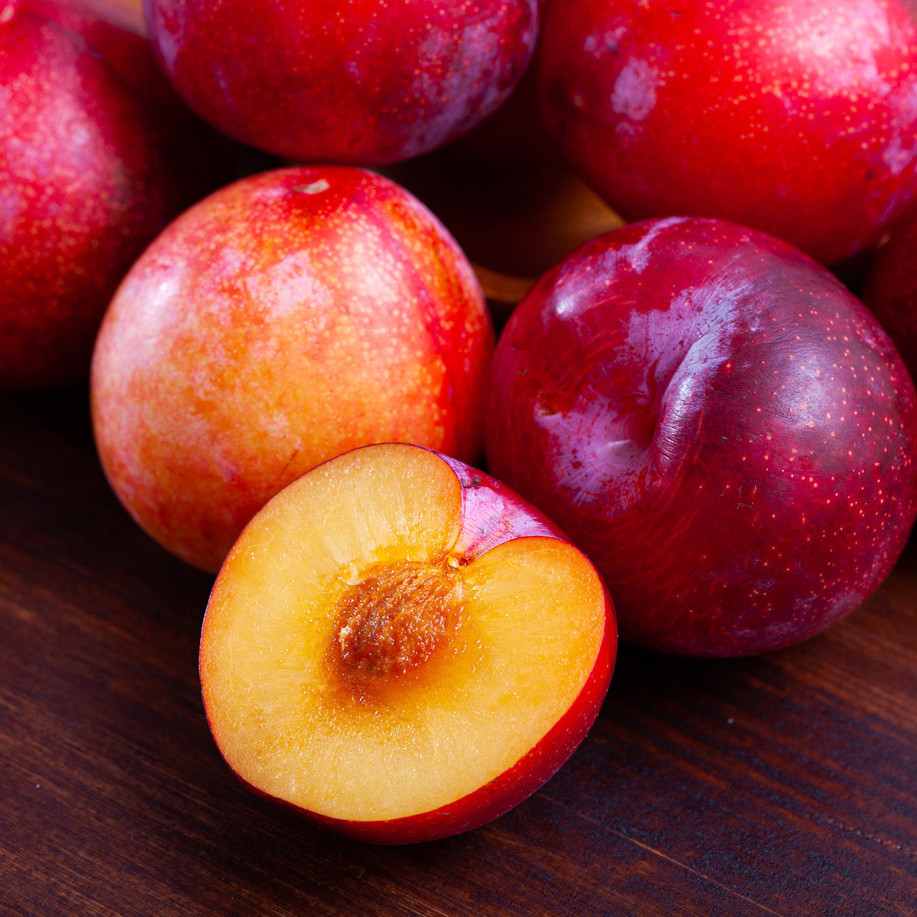 Shop the Bruce Plum Tree for Sale | Buy Plum Trees | Perfect Plants