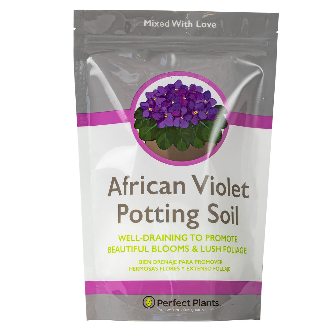 African Violet Potting Mix Uk