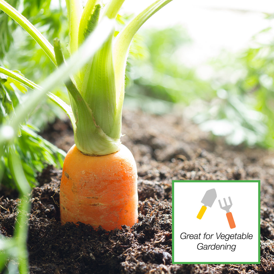Lime Vegetable Garden Soil Dolomite Lime Vs. Garden Lime: Differences