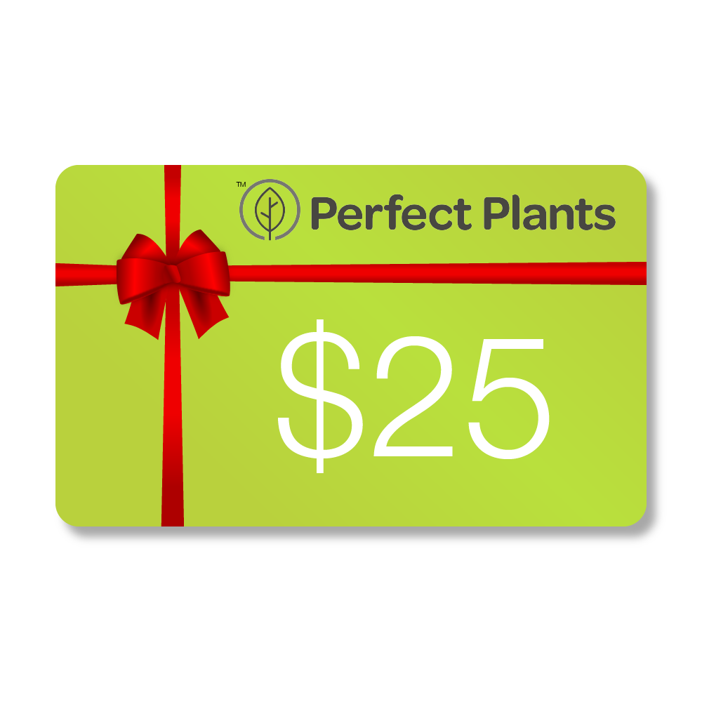 Digital Gift Card | Give the Gift of Growth! | Perfect Plants